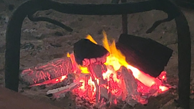 予め語られる未来｜近藤未来鑑定 近藤 光 【年中無休】｜coconalaブログ