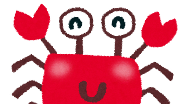 すきづきんブログ一覧｜coconalaブログ