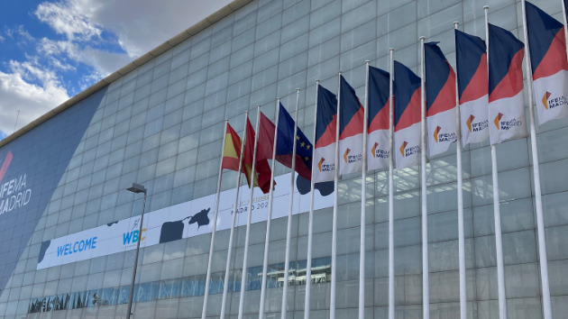 684ブログ一覧｜coconalaブログ