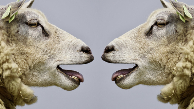 【準1ライティング便利表現133】dispute｜ハチドリ KR｜coconalaブログ