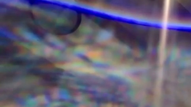 kan 369ブログ一覧｜coconalaブログ