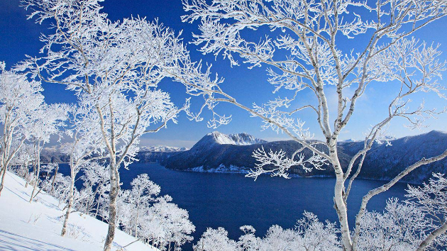 格言｜占い師 導春｜coconalaブログ