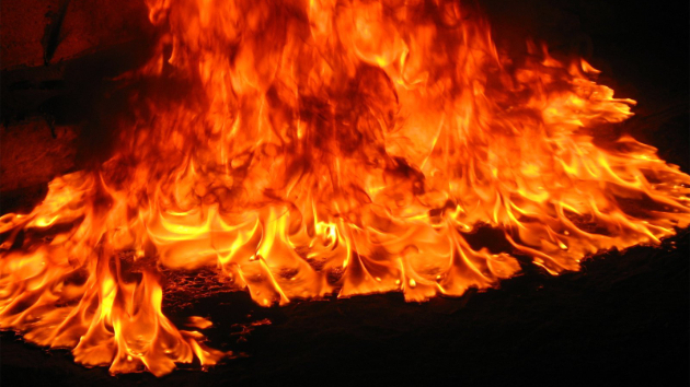 2024年4月 ルッキズム到来｜近藤未来鑑定 近藤 光 【年中無休】｜coconalaブログ