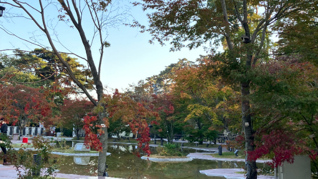 ライトアップ｜＊Teo＊｜coconalaブログ