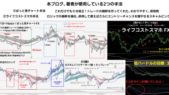 【一番勝ちやすいFX手法は？】自分の性格に合った手法、それぞれのFXトレードスタイルから｜冬二FutureUnderCoverFX｜coconalaブログ