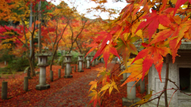 格言｜占い師 導春｜coconalaブログ