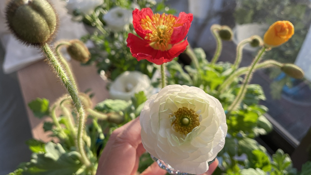 信じるエネルギー｜cocoroココロ｜coconalaブログ