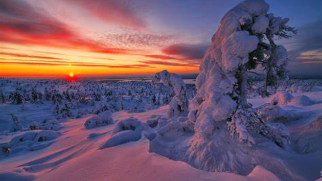 格言｜占い師 導春｜coconalaブログ