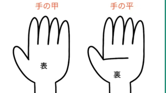 1177.私の人生を救ったリモート・ビューイング(遠隔透視)②｜RemoteViewer導与 ｜coconalaブログ