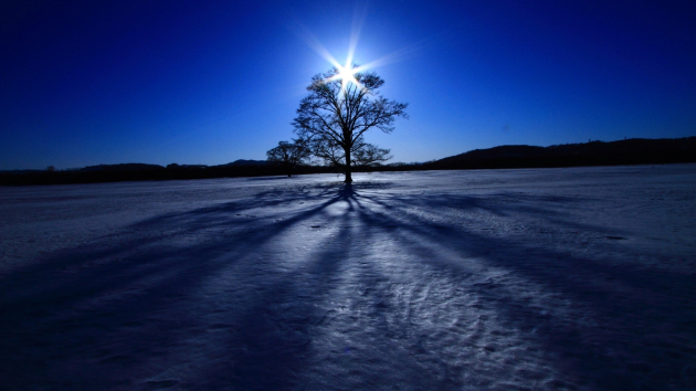 もらうのをやめる｜光の翼 ︎木村心美｜coconalaブログ