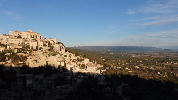 MAHO マホブログ一覧｜coconalaブログ