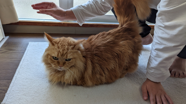 卵にあばた痕｜Sachiko Uchiyama｜coconalaブログ