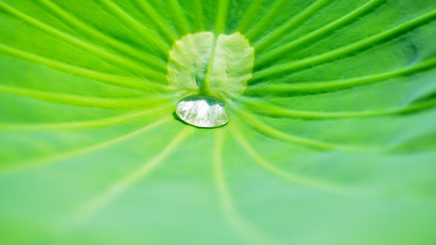 タイムウェーバー読み解き＊＊＊悩ましい日本語訳ー4｜Being Labo｜coconalaブログ