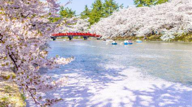 格言｜占い師 導春｜coconalaブログ