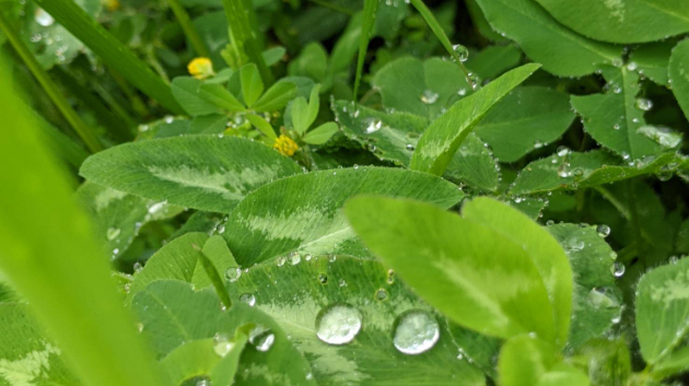 momo_creationブログ一覧｜coconalaブログ