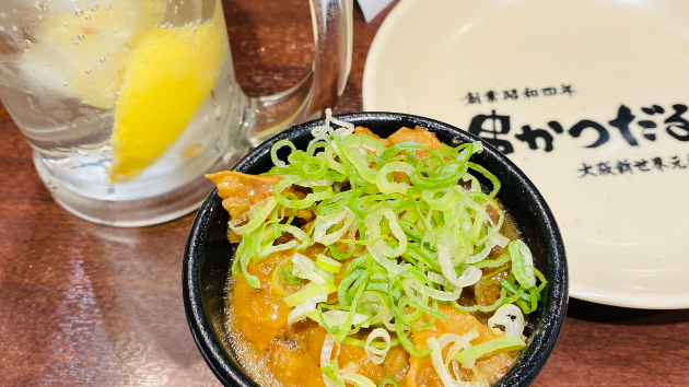 大阪、串焼き、学会出張｜ProjectCO2｜coconalaブログ