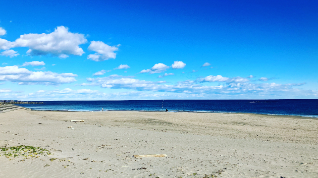 恋愛相談はAIにする時代？｜ルノルマンRIHO｜coconalaブログ