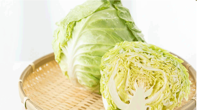 912.旬の「春キャベツ」 「冬キャベツ」と何が違う？｜RemoteViewer導与 ｜coconalaブログ