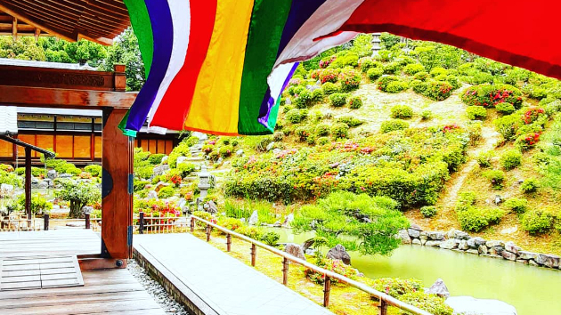 京都ぶらりブログ｜hiroshi0369｜coconalaブログ