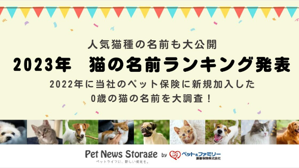 208.「2023年 猫の名前ランキング」発表｜紫光【SHIKO】遠隔透視鑑定士｜coconalaブログ