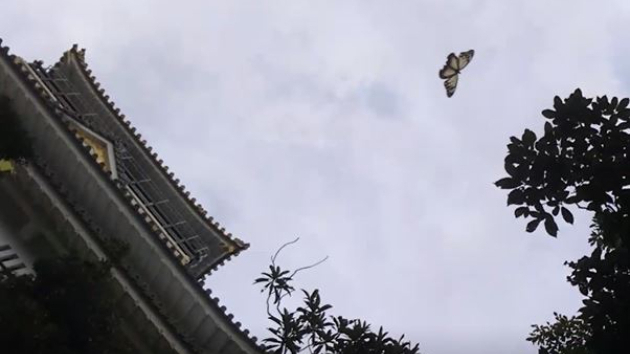 ナンカノアキ｜nuneno｜coconalaブログ