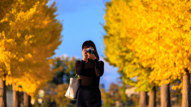 ココナラ受注の秋。どれが売れるかわからない｜ProjectCO2｜coconalaブログ