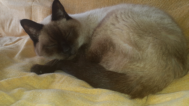 なかなか…｜みどり＠0809｜coconalaブログ