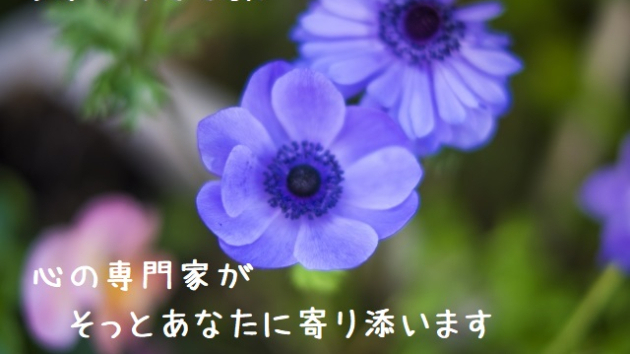 17時まで電話相談を最低価格で受け付け中です！｜アイカAika｜coconalaブログ