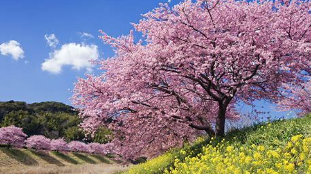 格言｜占い師 導春｜coconalaブログ