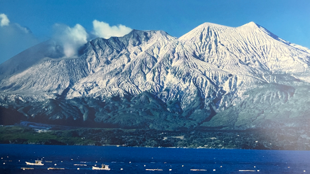 デザイナーマーケティング｜ryuan1997｜coconalaブログ