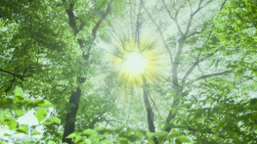 今週のスケジュール（11/18〜11/24）｜珍堂☆漫子2｜coconalaブログ