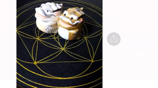 友人と金龍さん／つづき｜kan 369｜coconalaブログ