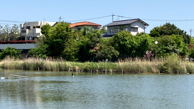 アーティストとデザイナー｜ryuan1997｜coconalaブログ