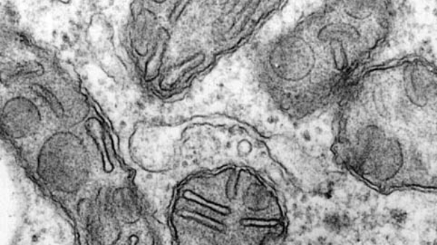 霊感タロット悠yuuブログ一覧｜coconalaブログ