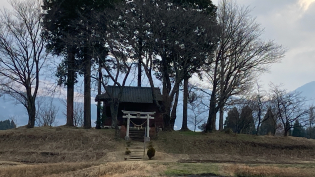 第一想起を利用したマーケティング｜ryuan1997｜coconalaブログ