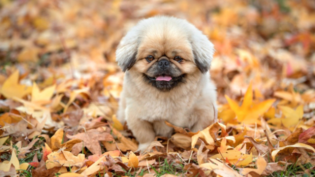 2年間で120件のご依頼をいただきました｜ProjectCO2｜coconalaブログ