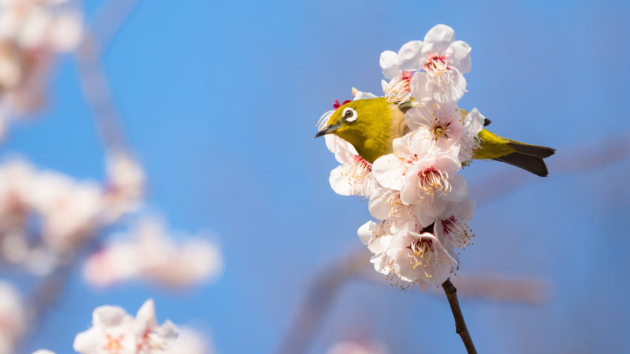 藤井啓人ブログ一覧｜coconalaブログ