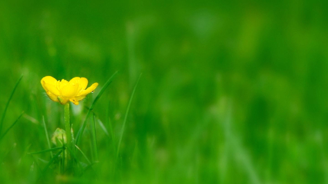 真実の言葉 760【明日の神】｜御成 信｜coconalaブログ