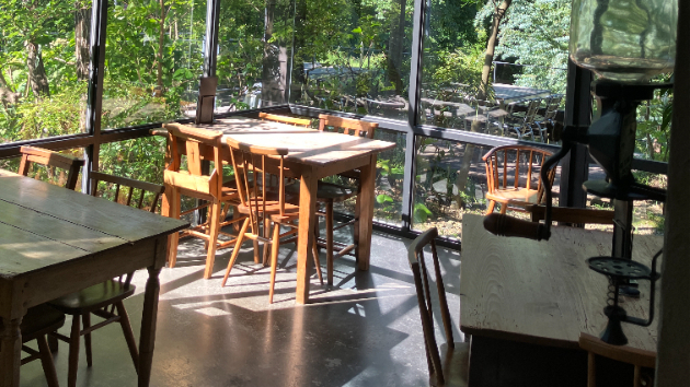 木々に囲まれたカフェ｜ryuan1997｜coconalaブログ