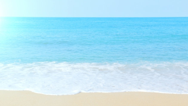 月命星（生まれ月の九星）が一白水星の人｜Sara Aikawa｜coconalaブログ