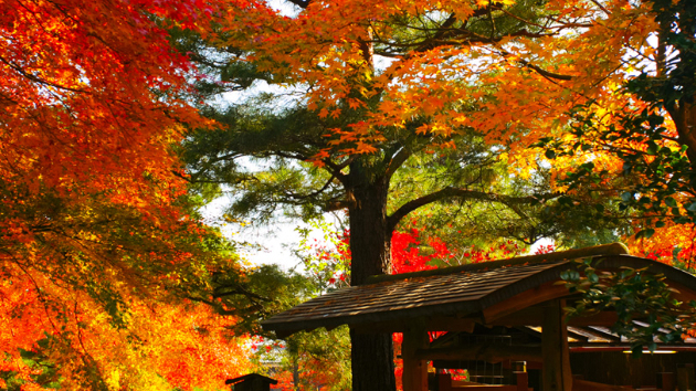 格言｜占い師 導春｜coconalaブログ