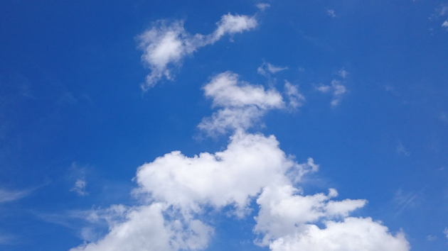 カードからの学び #5 『殻を破って』 ～reading a day～｜AKI Card・Reader｜coconalaブログ