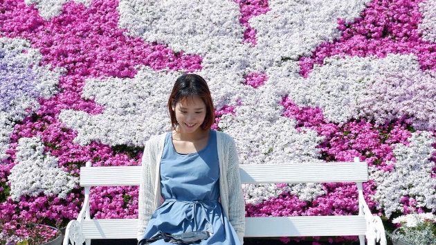 意外と知らない失礼な英語 vol.1｜もも＠現役通訳・翻訳（英韓）｜coconalaブログ