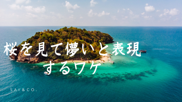 桜を見て儚いと表現するワケ｜SaiCoo｜coconalaブログ