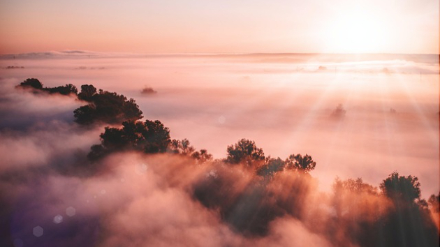 手放す ではなく 受け容れること ｜Being Myself☆ゆみ｜coconalaブログ