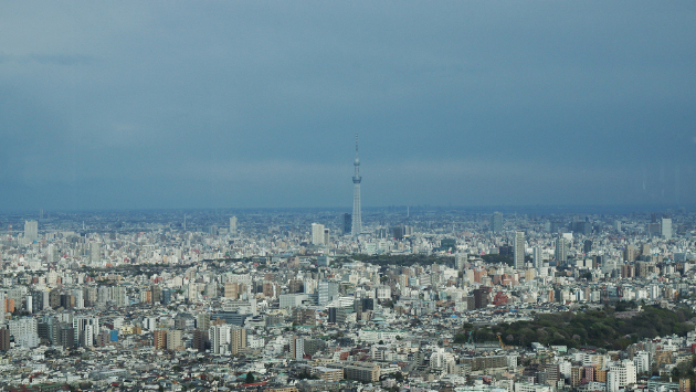 行政書士sakブログ一覧｜coconalaブログ