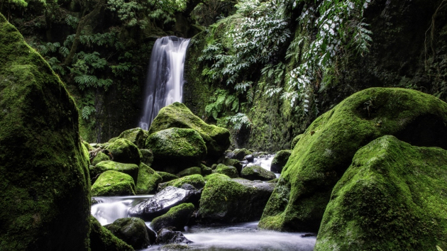 徒然｜すず。369｜coconalaブログ