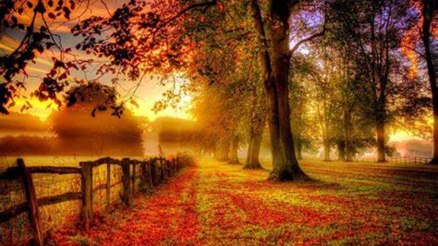 格言｜占い師 導春｜coconalaブログ