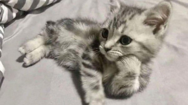 「勝ち逃げ」がメンタルには一番!!｜office‐raru Kazu S｜coconalaブログ