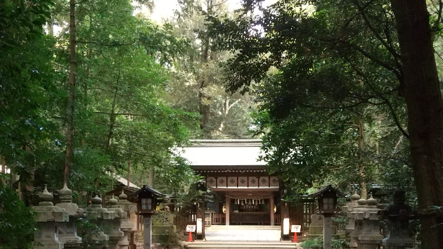 天秤座新月のねがいごと｜lukia☆（ルキア）｜coconalaブログ